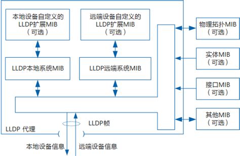 LLDP工作原理