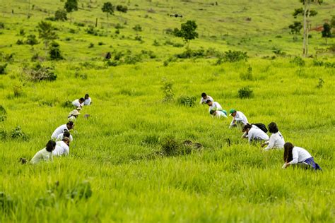 Restaurar El Futuro Serfor Wwf Y Expertos Nacionales E Internacionales Se Reúnen En Cusco Para