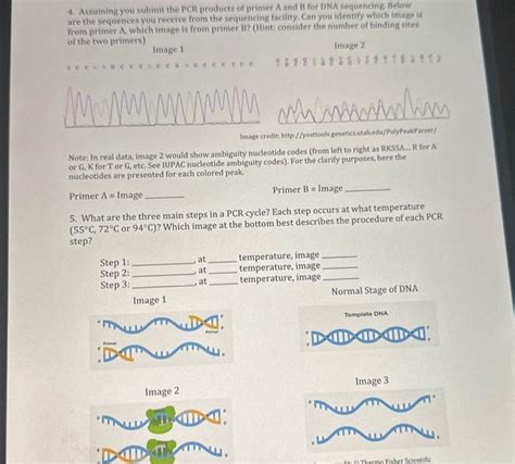 4 Assuming You Submit The Pcr Products Of Primer A