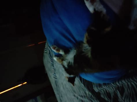 My Template Tier List Community Rankings Tiermaker