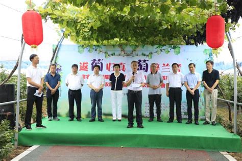 我院在兰考县召开葡萄梨优质高效现场观摩会暨兰考农科果园第三届助农直播采摘节 院办公室