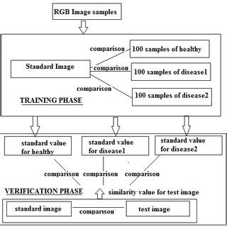 Pest Detection Using Image Processing