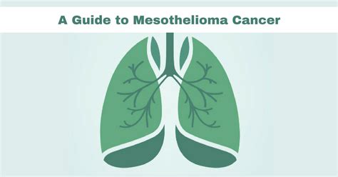 Mesothelioma Overview Symptoms Treatment And Causes