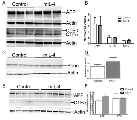 Hippocampal Expression Of Murine Il 4 Results In Exacerbation Of