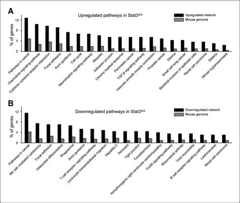 Microarray Data Revealed Significant Pathways Associated With Increased