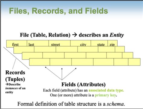 Chapter 9 Database Systems Flashcards Quizlet