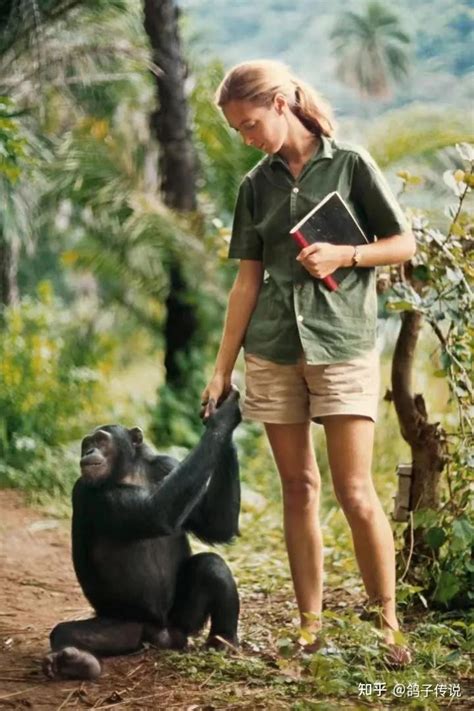 世界著名生物学家珍妮古道尔女士昨天在进行巡回演讲途中去世，享年91岁。 知乎