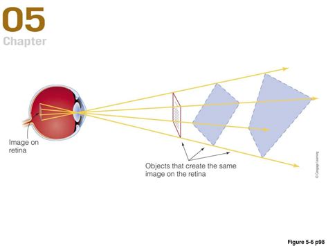 Ppt Chapter Perceiving Objects And Scenes Powerpoint Presentation