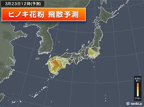花粉情報 今日23日は東京と福岡「非常に多い」予想 雨でも油断禁物 対策は万全にtenkijp Goo ニュース