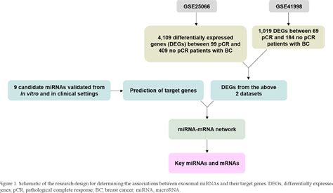 Figure 1 From Exploring Mirna‑target Gene Profiles Associated With Drug