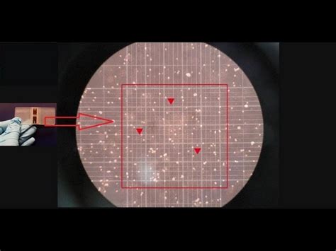 Hemocytometer Under Microscope