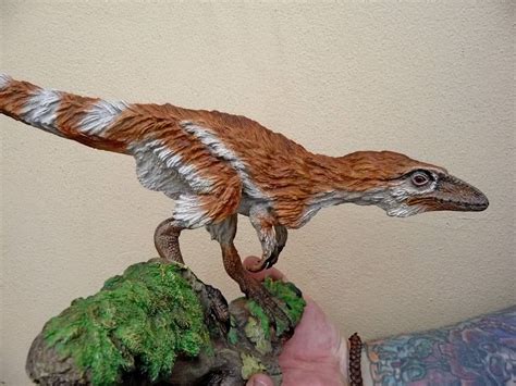 Sinosauropteryx Facts And Pictures