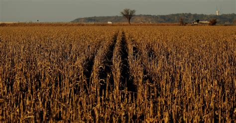 Key Hearing For U S Carbon Capture Pipeline Begins In Iowa Reuters