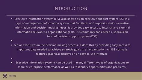 Executive Infomation System Ppt
