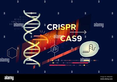 Genetics Research Gene Editing And Modifying DNA Helix CRISPR CAS Technology Abstract