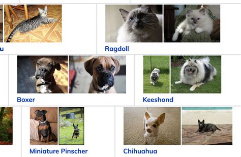 深度学习小目标检测图像分类图像识别等开源数据集汇总 腾讯云开发者社区 腾讯云