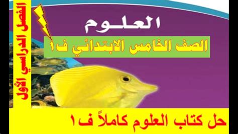 I Will Be Strong Broken Fool حل كتاب العلوم للصف الخامس الفصل الاول