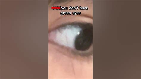 Eyes Lashes Closeup Beauty Brown Eye Ppl Foryoupageシ Youtube