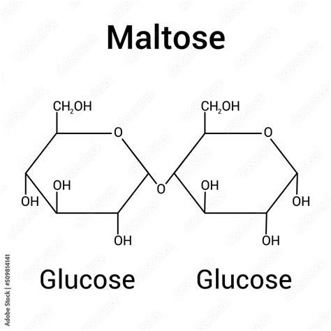 Chemical Structure Of Maltose C12h22o11 Stock Vector Adobe Stock