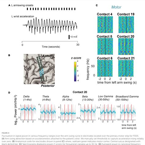 Figure 4 From Human Upper Extremity Motor Cortex Activity Shows