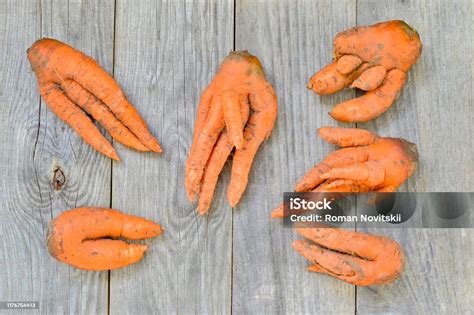 회색 나무 소박한 배경에 비표준 모양의 당근을 배치 개념 못생긴 야채 개체 그룹에 대한 스톡 사진 및 기타 이미지 개체 그룹 건강한 생활방식 굽은 Istock