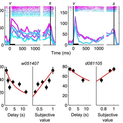 Temporal Discounting Behavior In The Intertemporal Choice Task Download Scientific Diagram