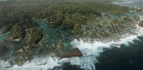 Futuristic Designs Reveal How Climate Change Could See Us Live In The