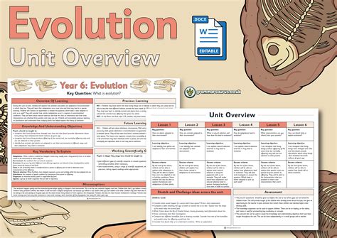 Year 6 Science Evolution Unit Overview Grammarsaurus