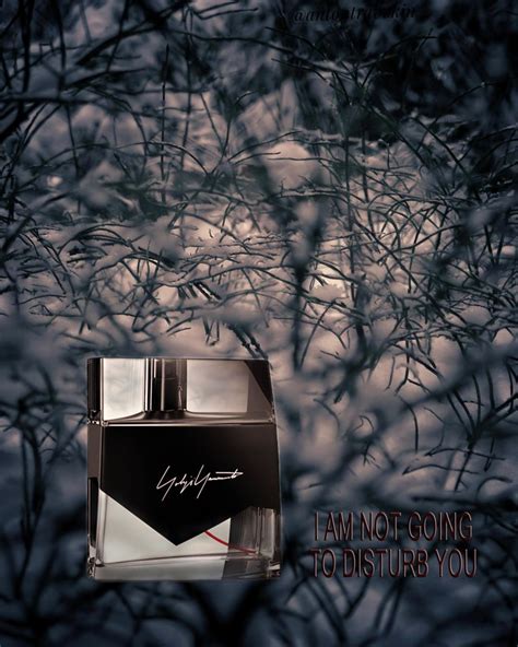 I'm Not Going to Disturb You Homme Yohji Yamamoto аромат — аромат для ...