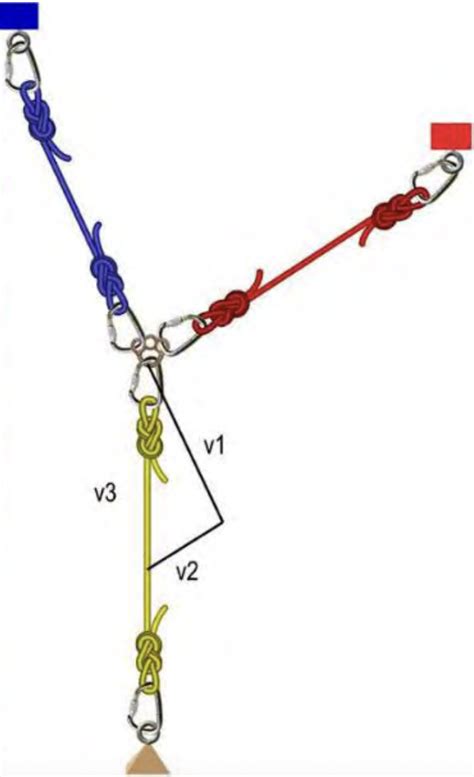 Vector Forces