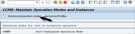 SAP Basis GUI Selection SAP Online Guides