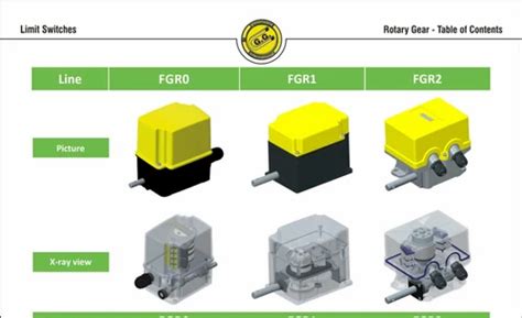 Rotary Gear Limit Switch At Best Price In Pune By Giovenzana Controls India Pvt Ltd ID