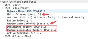 OSPF Network Types Explained With Examples On Cisco IOS