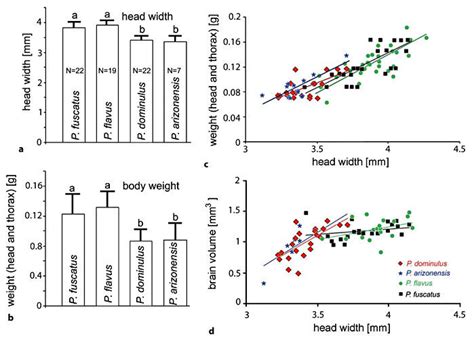Head Body And Brain Size Of The Four Wasp Species A B Histograms