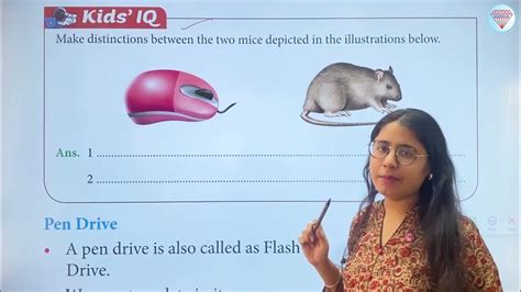 Chapter 3 Components Of A Computer Computer Class 1 Smart Lecture