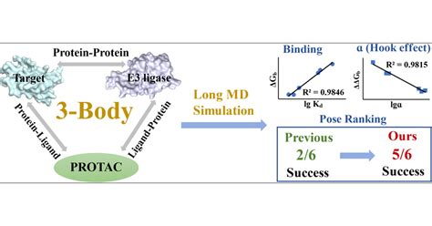 Importance Of Three Body Problems And ProteinProtein Interactions In Proteolysis Targeting