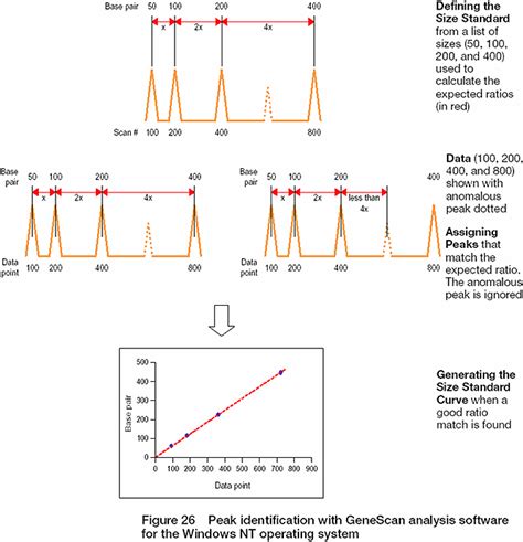 Archived Str Data Analysis And Interpretation For Forensic Analysts