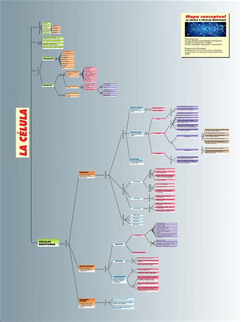 Mapa Conceptual Celula Pdf