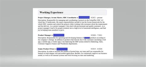 Jiyn Nguyen On Linkedin Sharecv Hcm Projectmanager