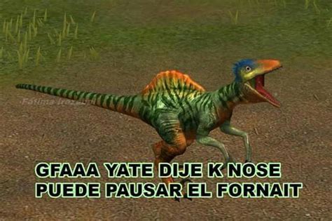Where Stories Live Memes Mexicanos Divertidos Memes Divertidos Meme Dinosaurio