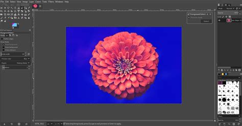 How To Remove A Background In GIMP