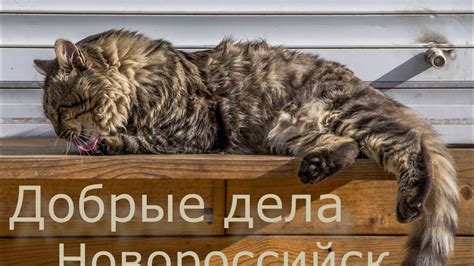 Делай добро получай тепло Youtube