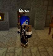 Boss Minecraft Diaries Gallery Aphmau Wiki Fandom