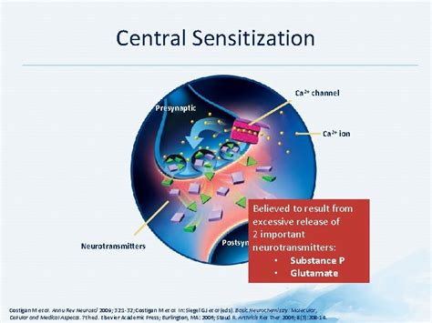 Pathophysiology Overview Pathophysiological Classification Of Pain