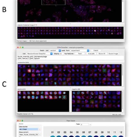 User Interface Of Cellprofiler Analyst A Main Toolbar B Image Download Scientific Diagram