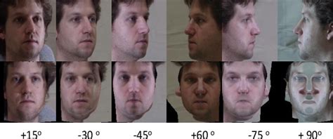 figure 2 from pose weighted gan for photorealistic face frontalization