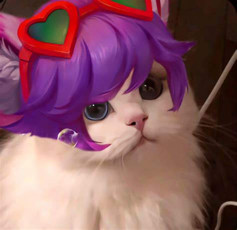 Mobile Legend Wallpaper Discover 54 Mlbb Pfp Ideas On This Pinterest Board Legend Cat Mobile