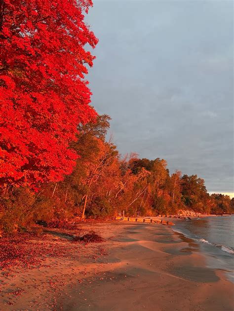 Pineapplebrat Pineapplebrat Added A New Photo