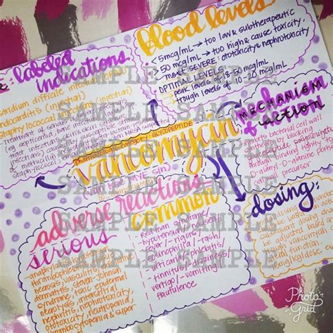 Vancomycin Nursing Notes Concept Map Medical Surgical Semester Etsy