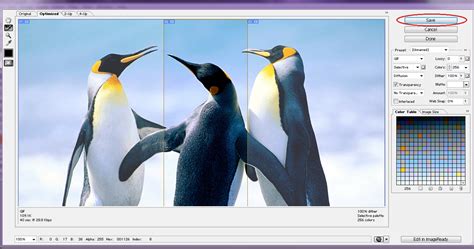 Online Classes For Photoshop 14 Slice And Slice Selection Tools